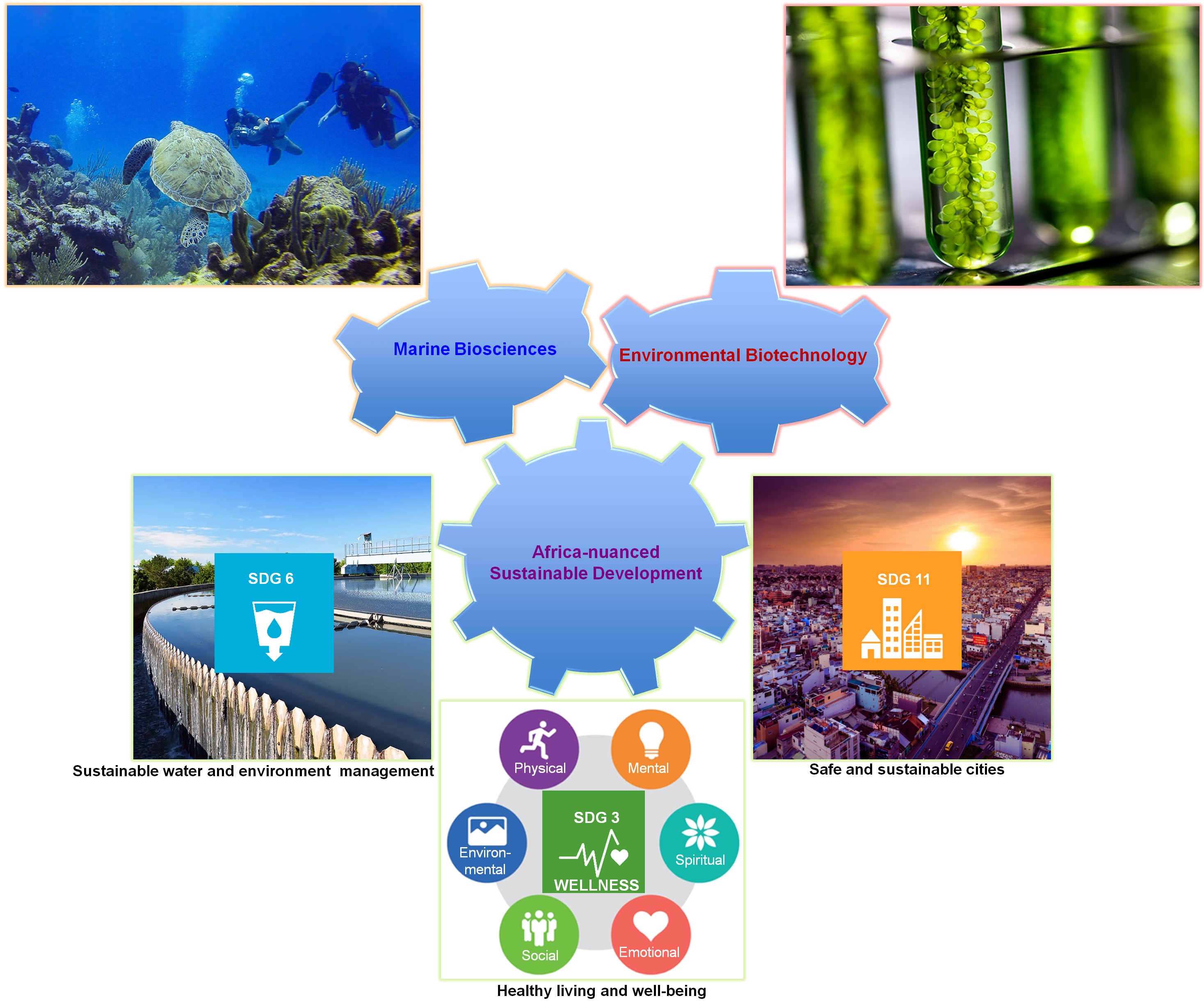 Research Focus Areas