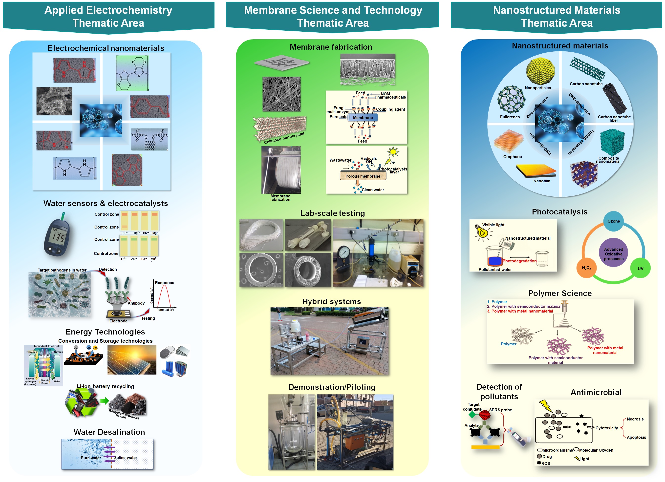 Research Focus Areas