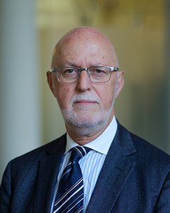 Prof Stefan Schepers