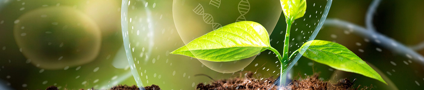 Department of Environmental Sciences