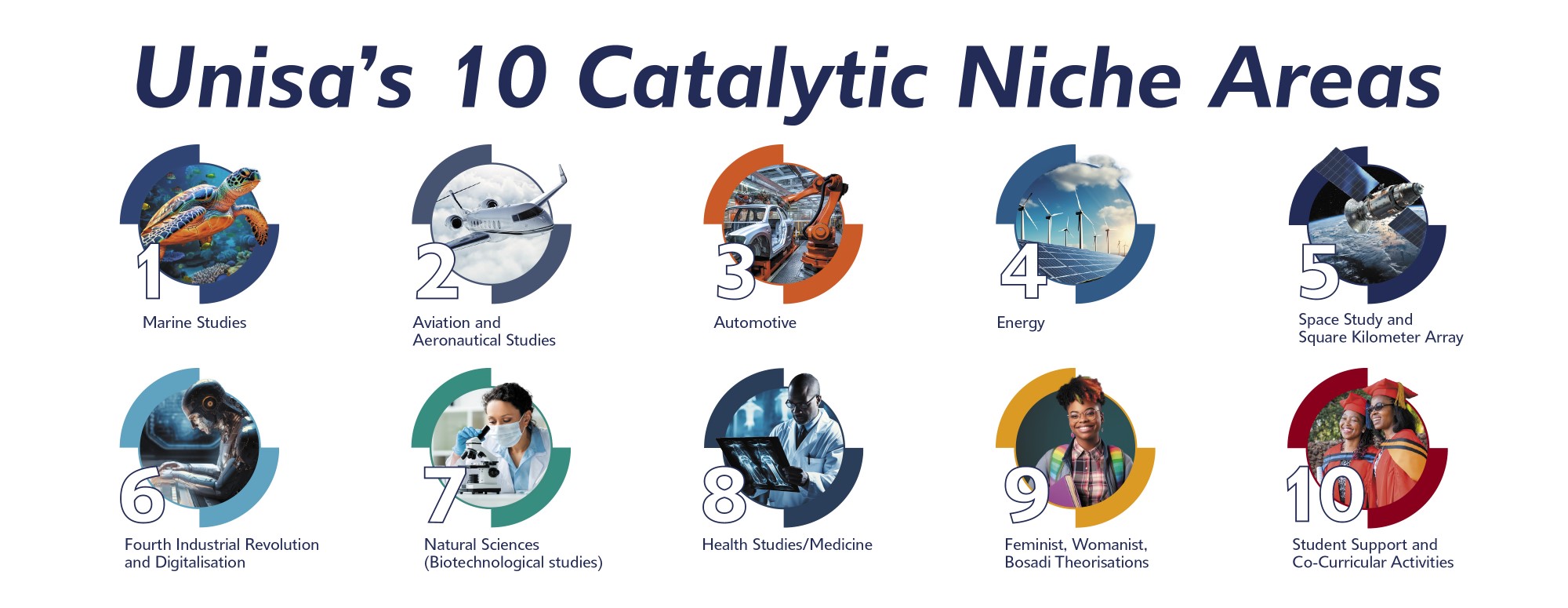 Catalytic Niche Areas