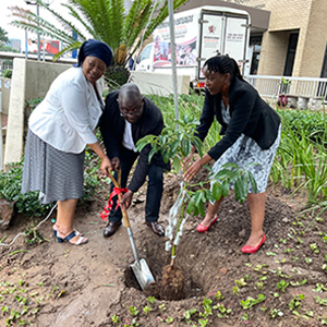 Plant project highlights Unisa's 150-year celebrations in KwaZulu-Natal