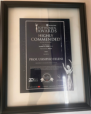 Prof Usisipho Feleni takes Top Woman Leadership Award in the STEM ...