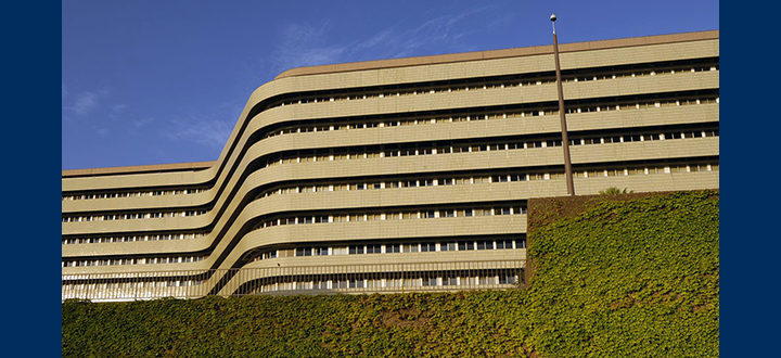 College of Accounting Sciences